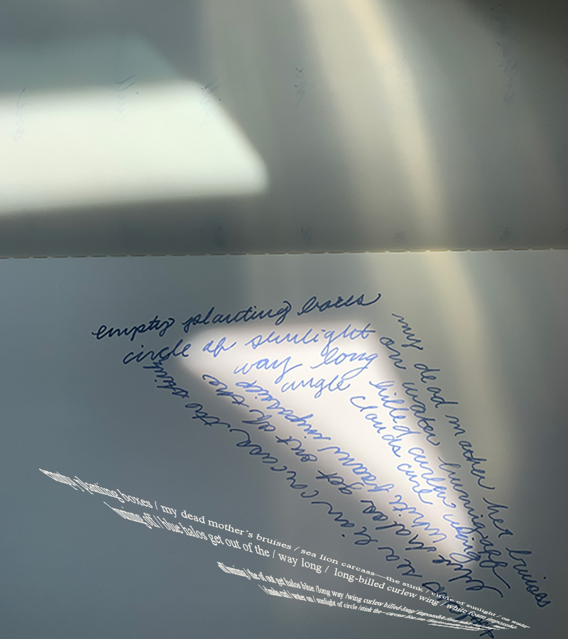 Issue 20: Spring 2022 – The Indianapolis Review