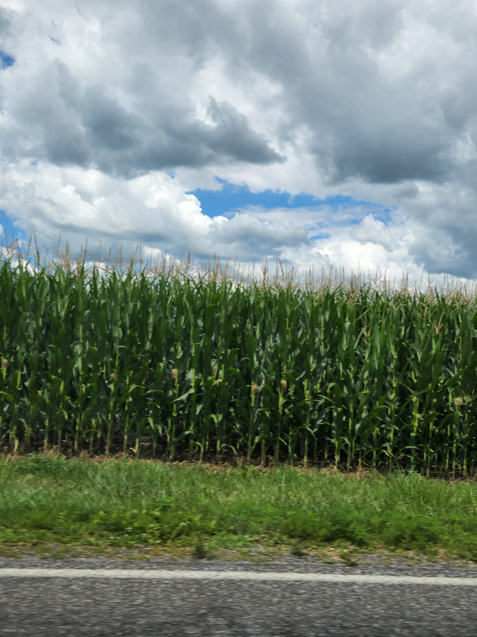 Welcome to Issue 21: Summer 2022 – The Indianapolis Review